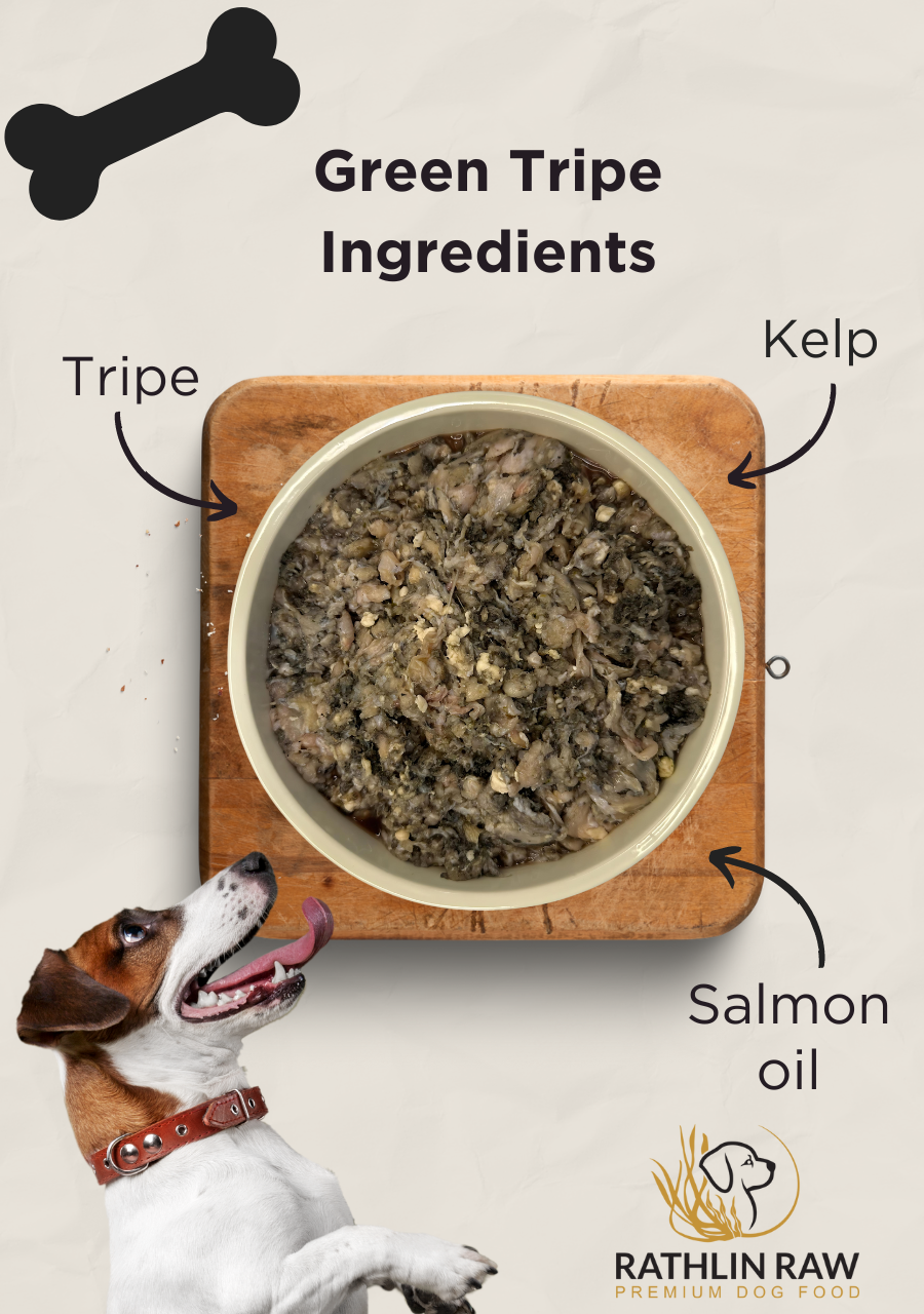 Why Green Tripe is a Must-Have Superfood for Dogs: Benefits, Smell, an