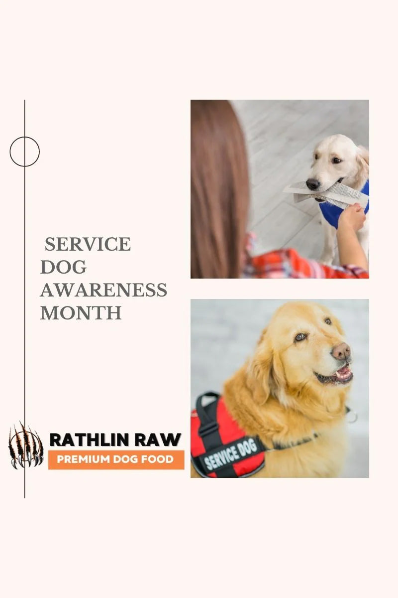 It's National Service Dog Awareness Month - Rathlin Raw
